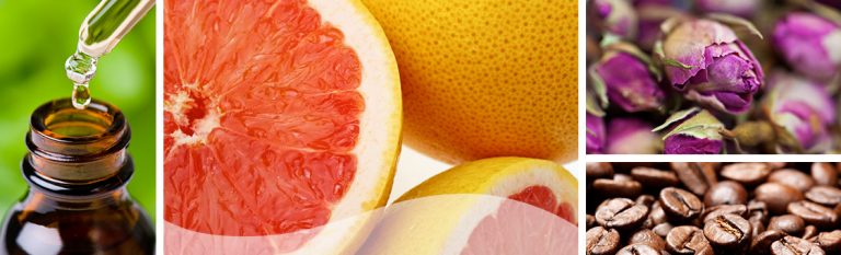 ABOUT US – Sanobar India